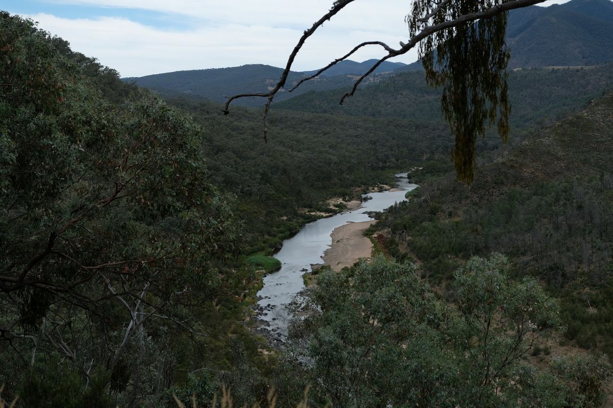 Snowy River National Park